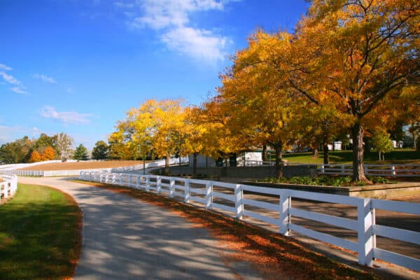 Moving to Kentucky? 2026 Living Costs & Relocation Tips - MoverDB.com